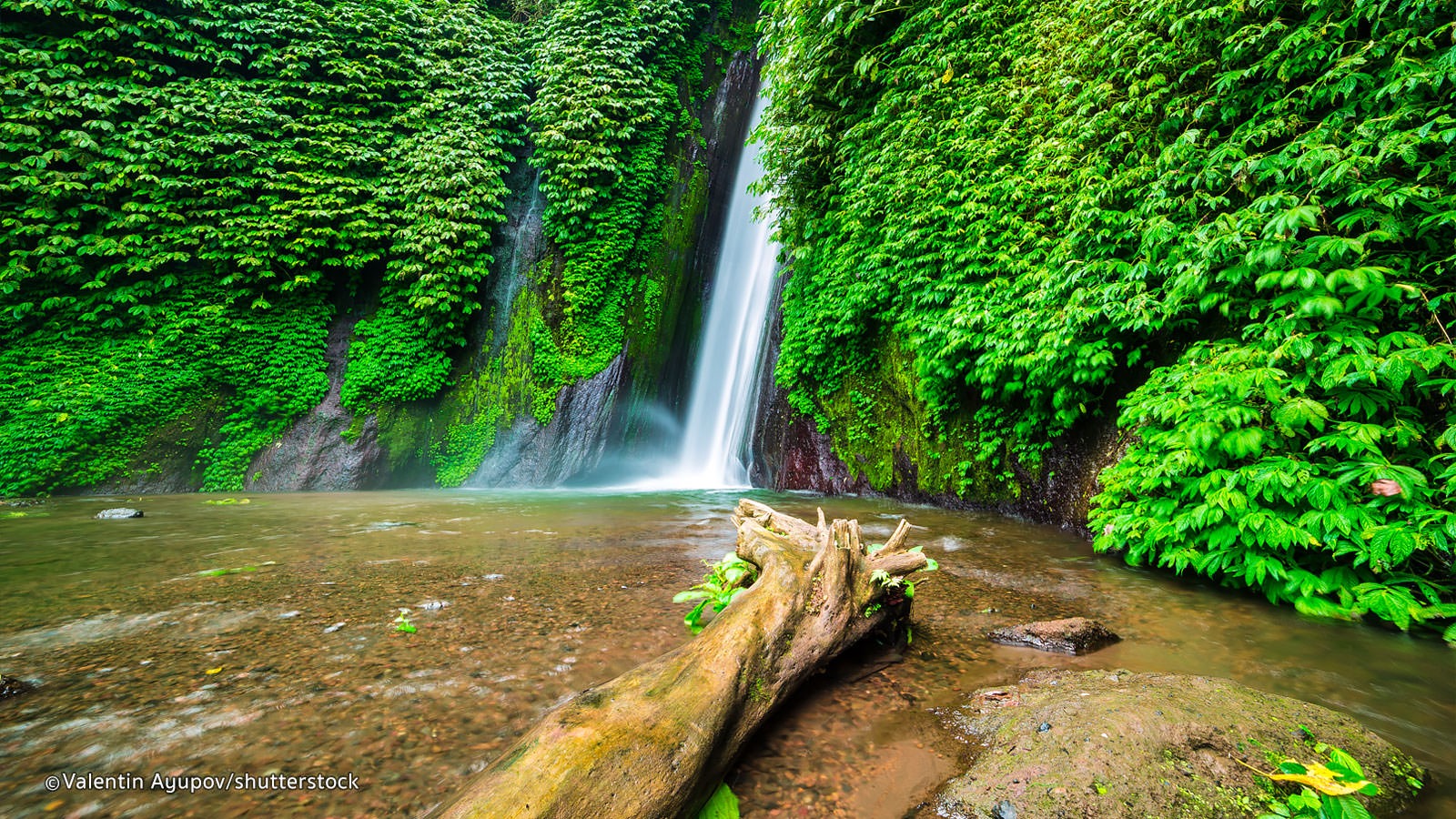 Munduk Waterfall Trekking - My Bali Trekking Tours